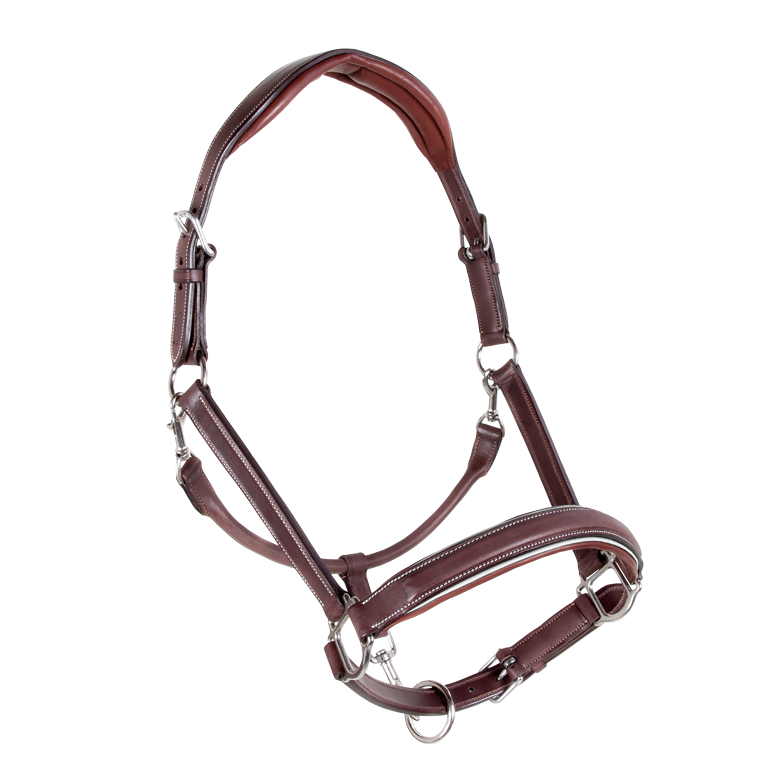 Stable halter Sport Color